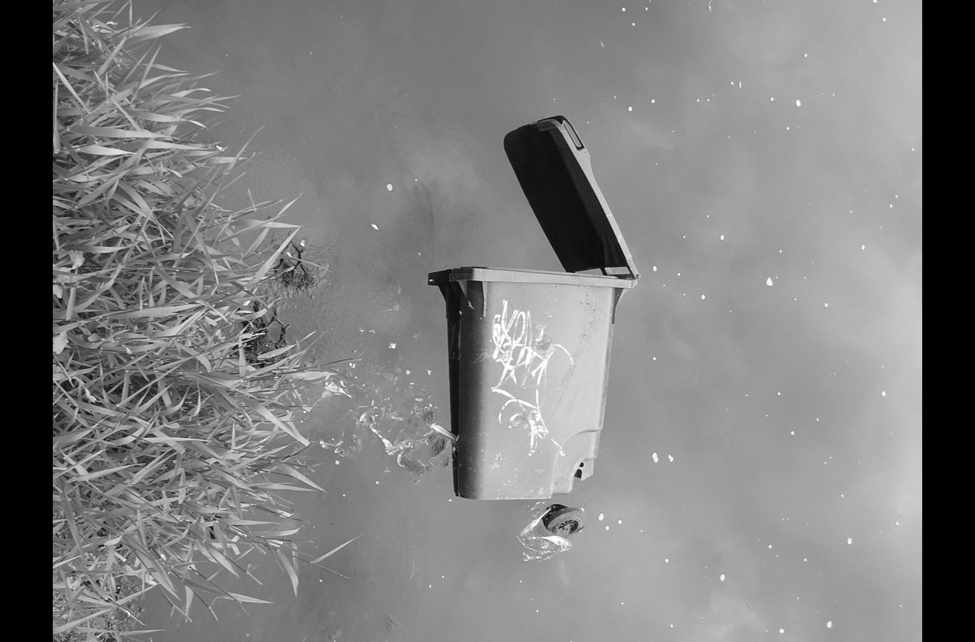 Book Launch: Paragraphs at the End of the World - Graham Fulton ...