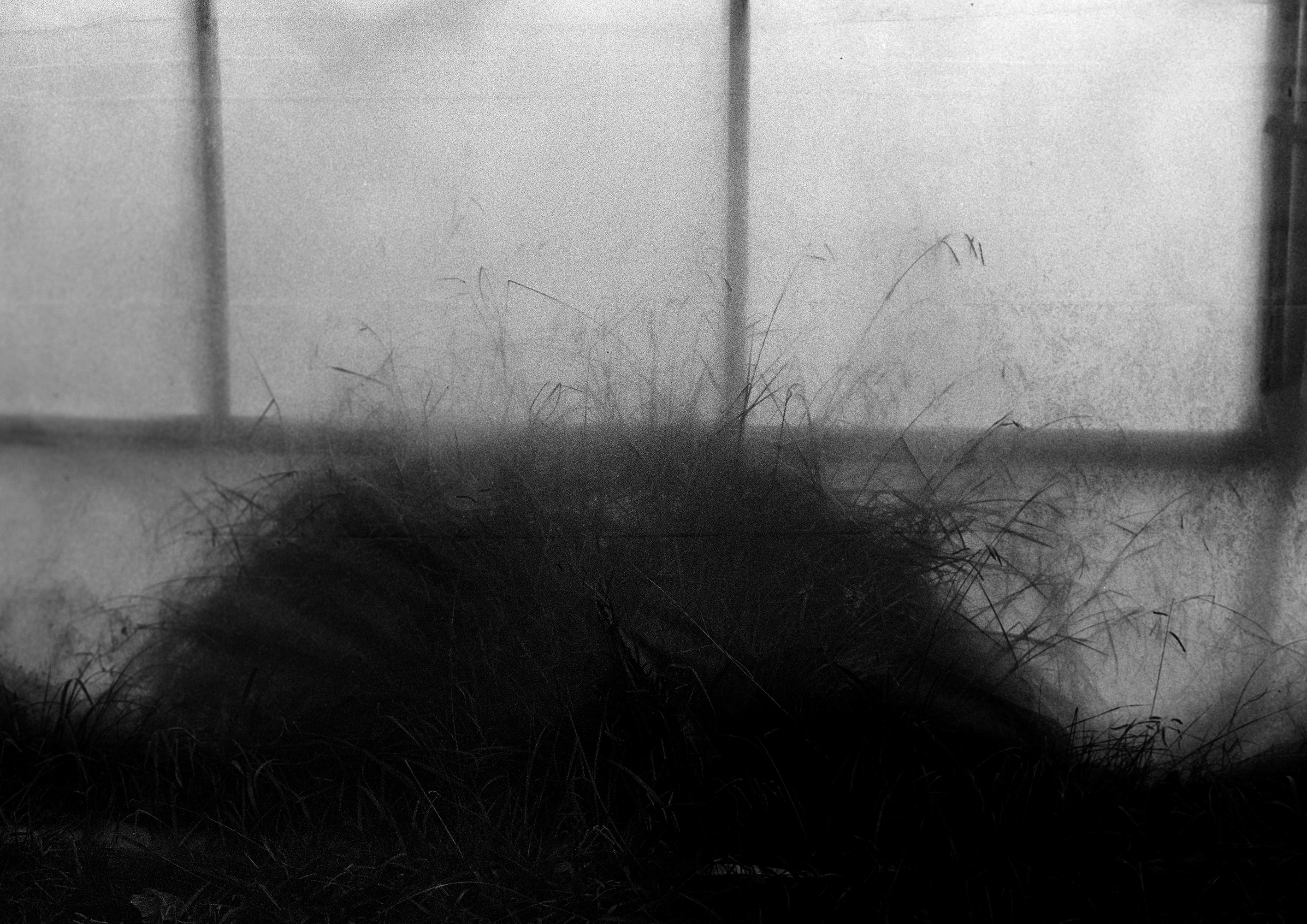 New Photographers Guild 2019 / 2020 - Street Level Photoworks